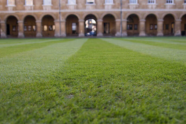How to Add Stripes to Your Lawn
