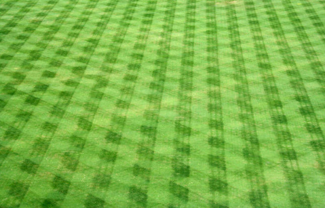 How to Add Stripes to Your Lawn Like a Pro