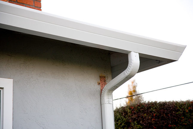 How to Clean Mold Off Your Gutters - Lawnstarter