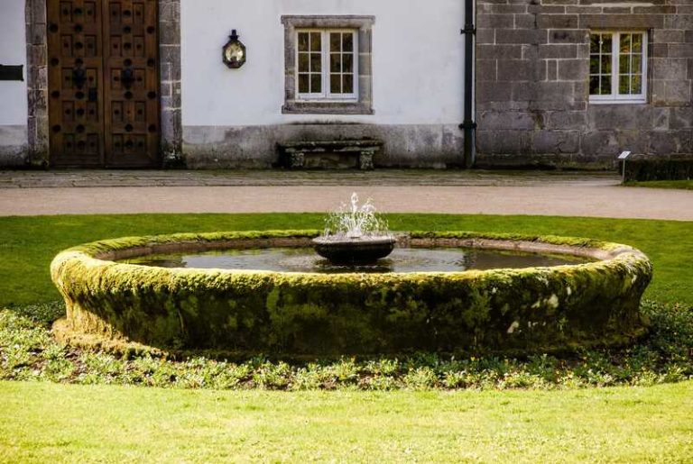 8 Ways to Encourage Biodiversity in Your Yard - Lawnstarter