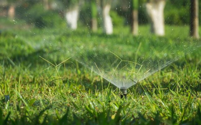 Types of Sprinklers for Your Lawn and Garden