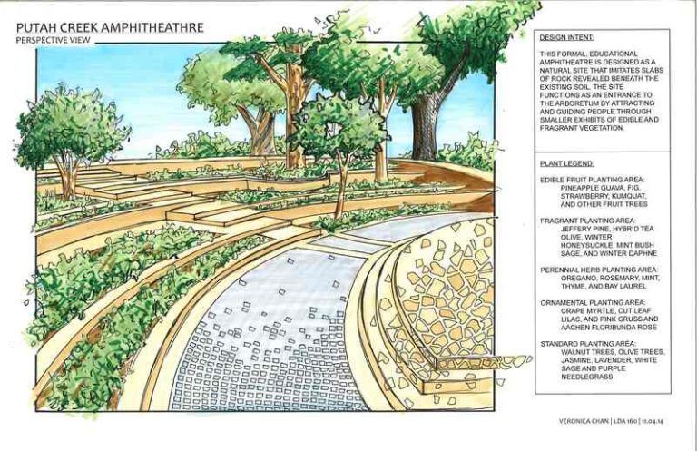 How to Terrace a Garden in Your Backyard