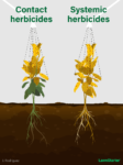 Organic Herbicides: A Comprehensive Guide