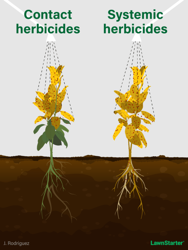 Types of Post-Emergent Herbicides