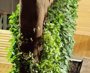 Green Walls: How to Create a Living Landscape (or Wallscape)