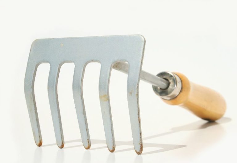 12 Types of Rakes: Uses and Tips