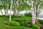 50 Ways to Live a Greener, Eco-Friendly Life