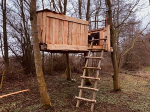 How to Build a Treehouse (in 11 Steps)