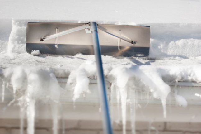 12 Types of Rakes: Uses and Tips