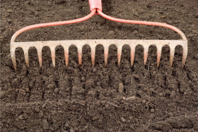 12 Types of Rakes: Uses and Tips