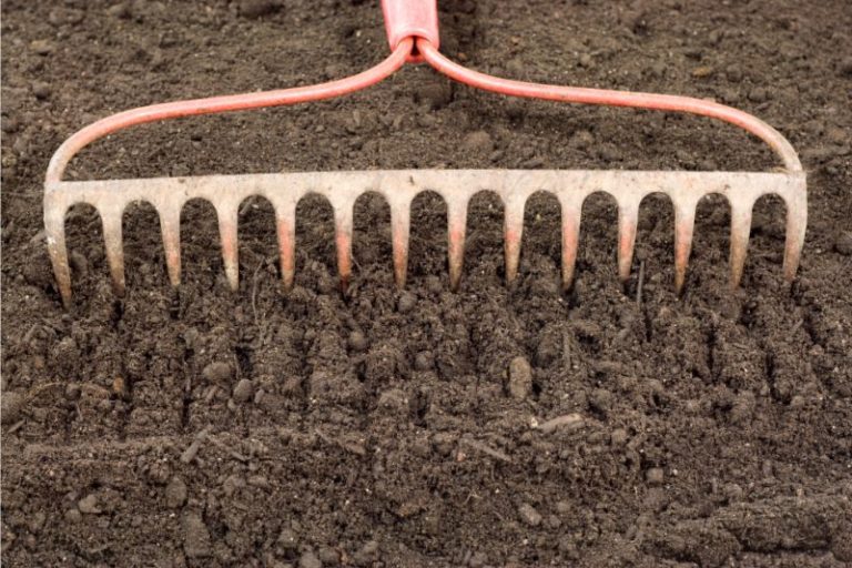 12 Types of Rakes: Uses and Tips