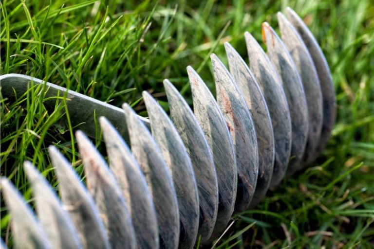 12 Types of Rakes: Uses and Tips