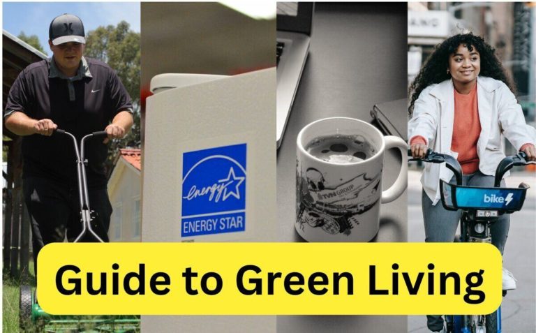 50 Ways to Live a Greener, Eco-Friendly Life
