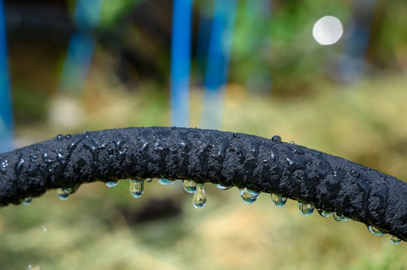 A Beginner’s Guide to Drip Irrigation Systems