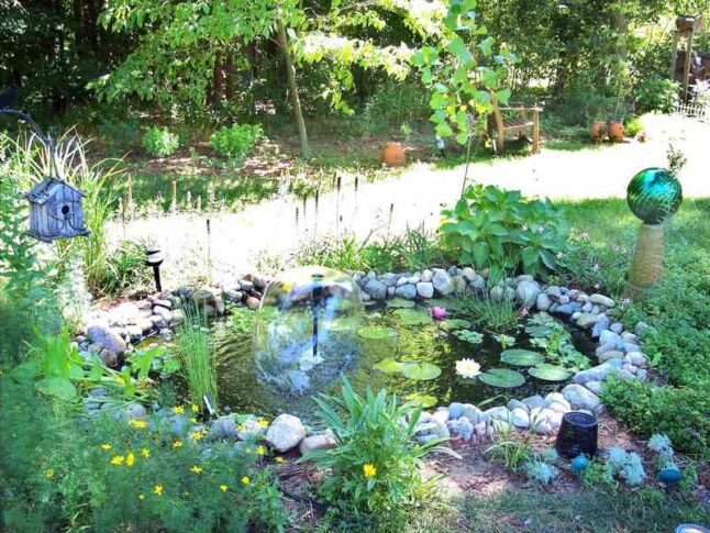 How to Build a Small Backyard Pond