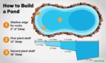 How to Build a Small Backyard Pond