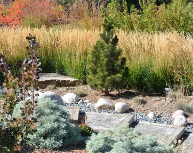 What is Xeriscaping? - Lawnstarter