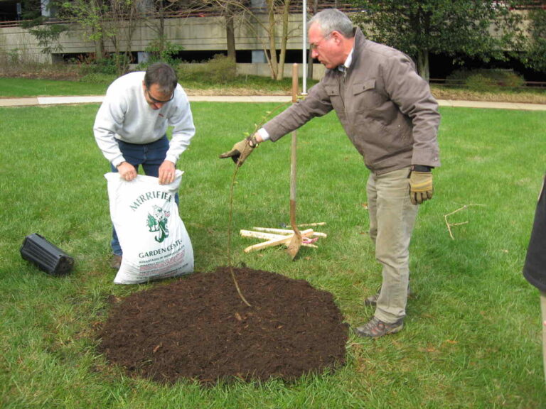 Mulch Calculator: How Much Mulch Do You Need?
