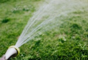 When is the Best Time to Water Your Lawn in Hot Weather?