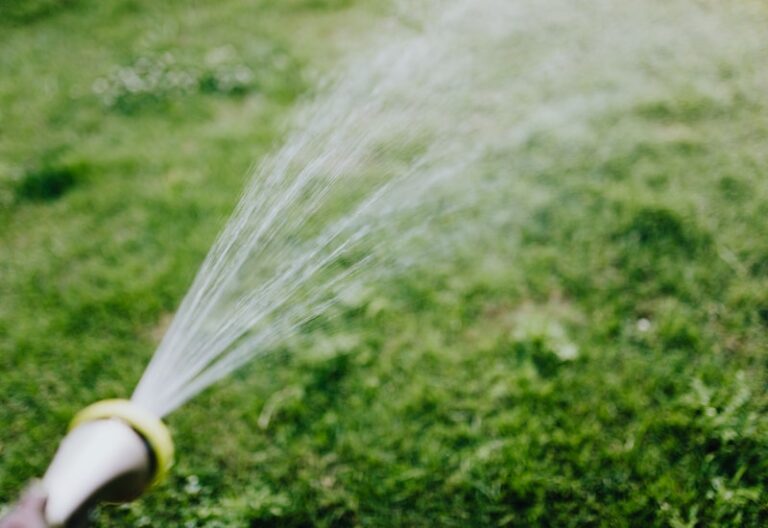 Seasonal Lawn Maintenance Guide For Atlanta Ga
