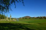 How to Grow Grass in Arizona