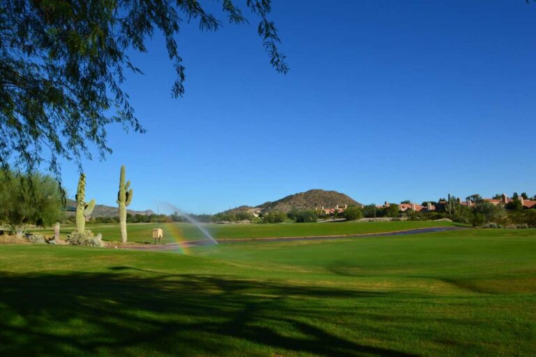 How to Grow Grass in Arizona