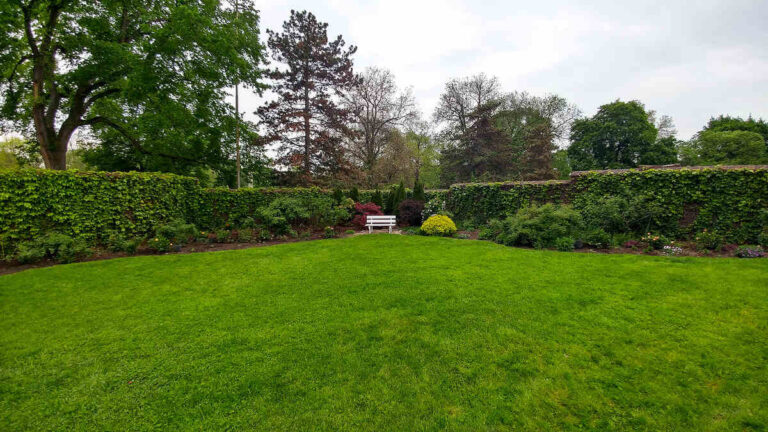 Best Grass Seed for Pennsylvania