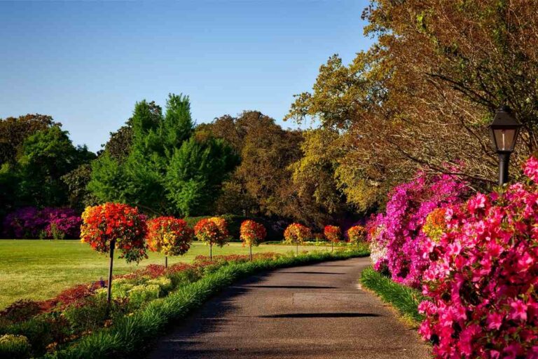 17 Alabama Native Plants