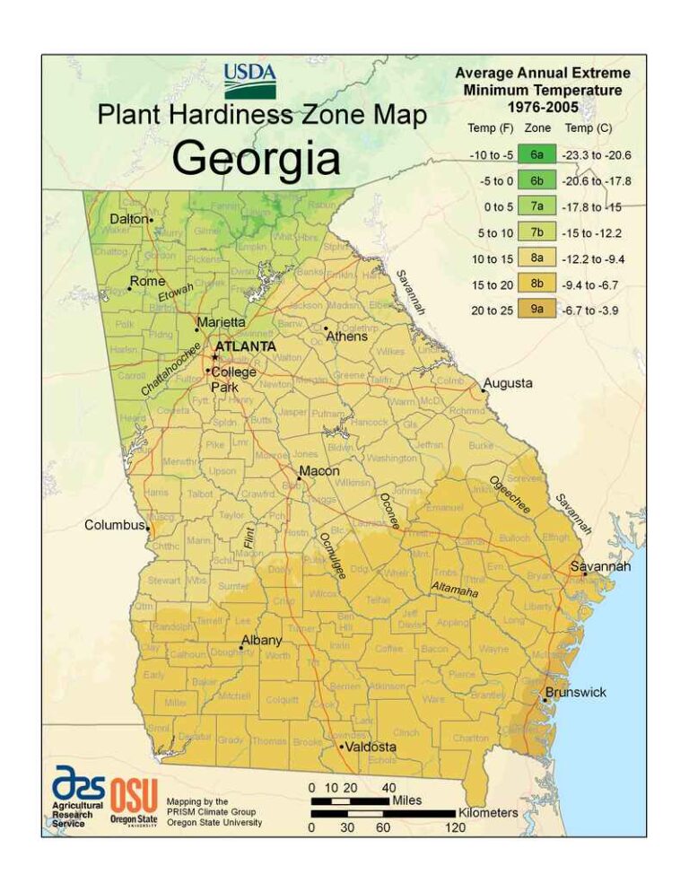 What Planting Zone is Georgia?