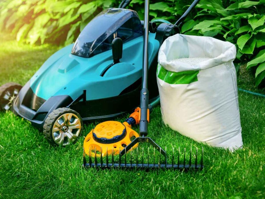 When To Fertilize Lawns In Texas SmartLiving 888 758 9103 when-to-fertilize-lawns-in-texas-smartliving-888-758-9103