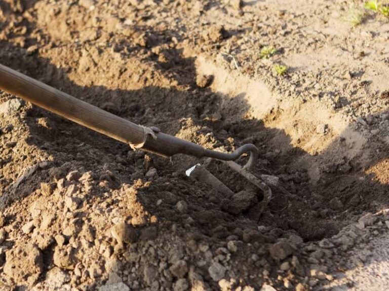 How to Get Rid of Stubborn Weeds in Your Grass