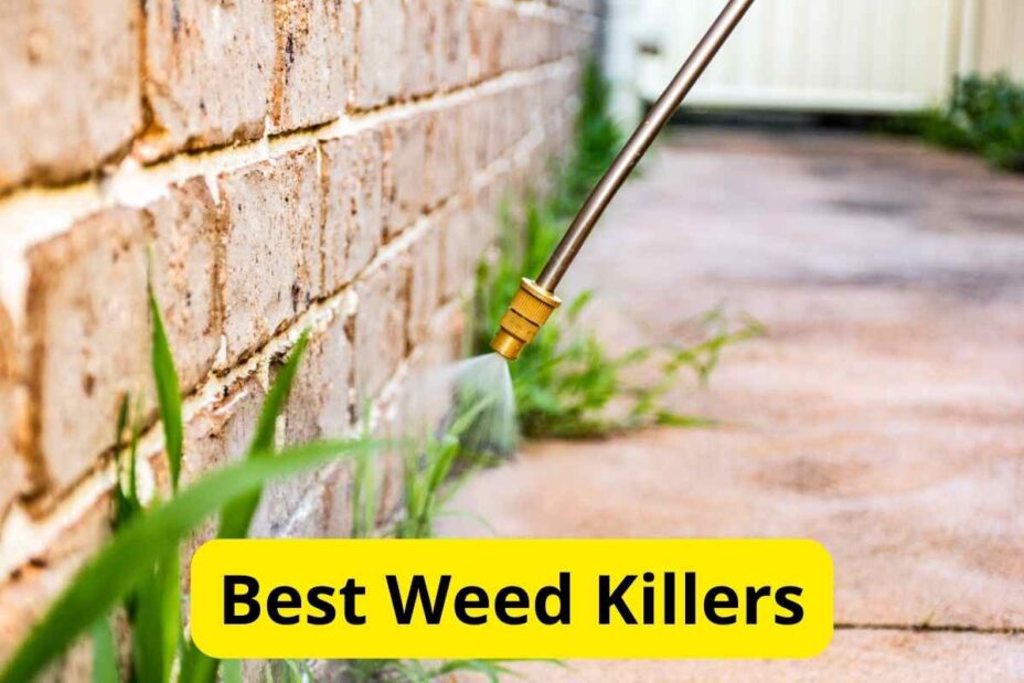 12 Best Weed Killers of 2026 [Reviews]
