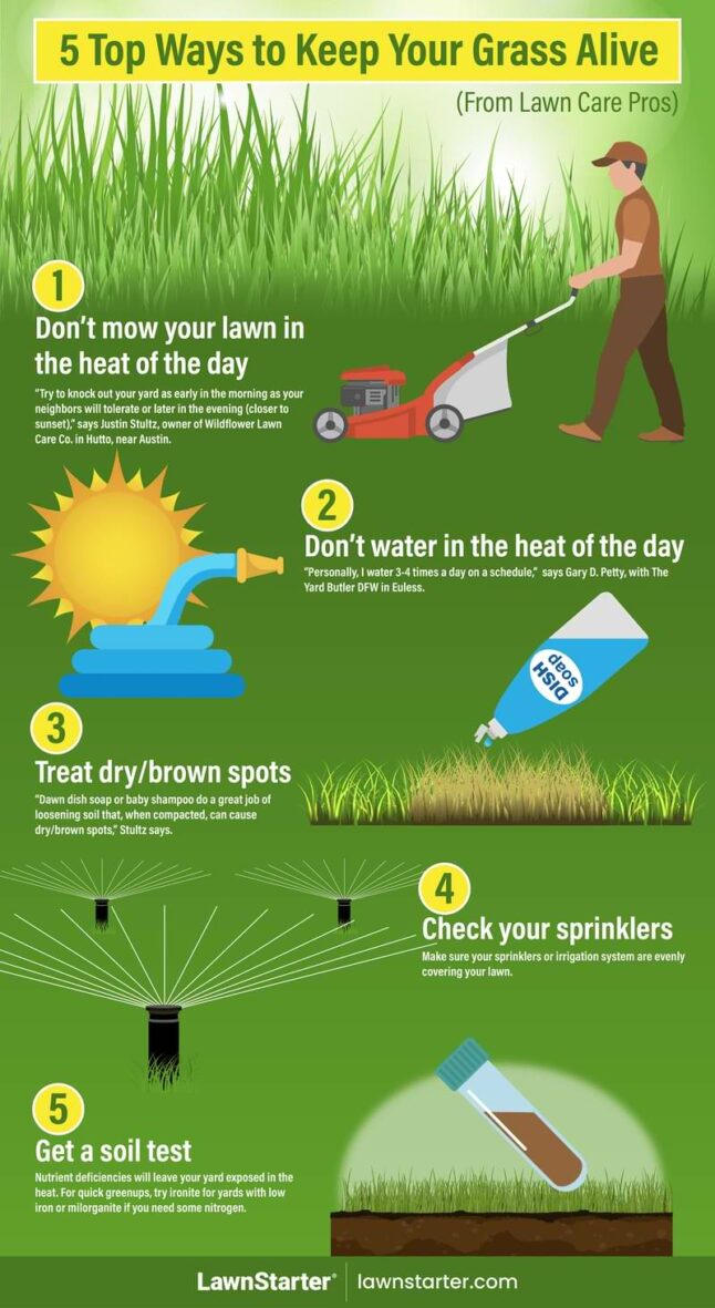 How to Keep Your Grass Alive in Record Heat (Tips from LawnStarter Pros)