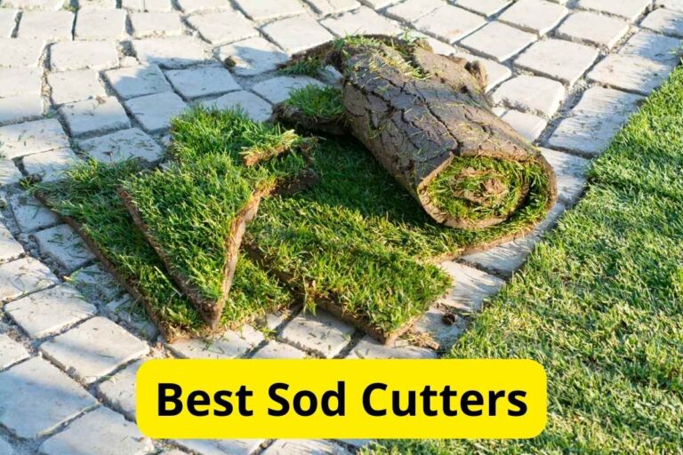 The 6 Best Sod Cutters of 2026 [Reviews]