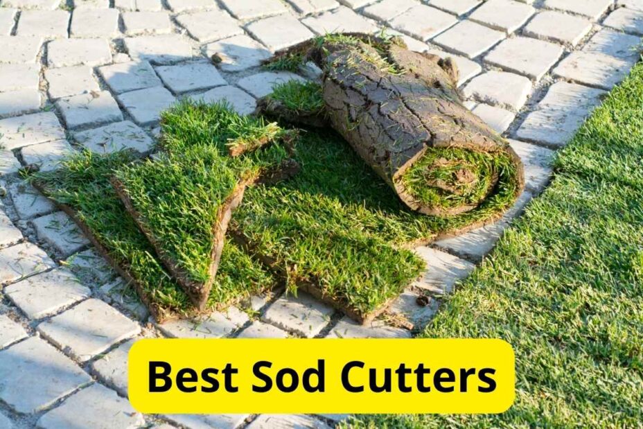 The 6 Best Sod Cutters of 2025 [Reviews]