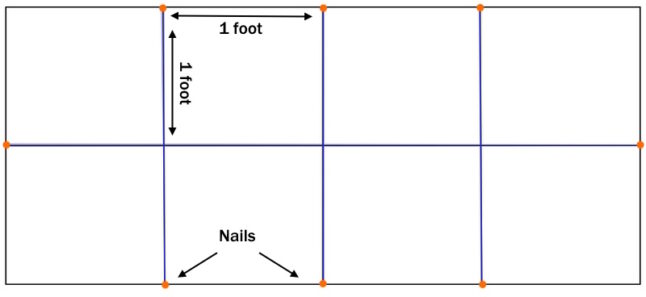 Square Foot Gardening: Everything a Beginner Needs to Know