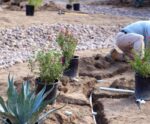 What is Xeriscaping? It’s Drought-Friendly Landscaping