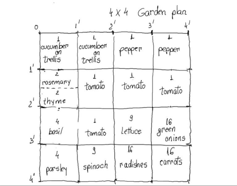 Digging In: 11 Steps to Start a Vegetable Garden