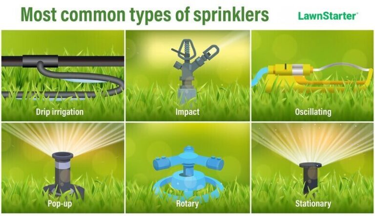 Types of Sprinklers for Your Lawn and Garden