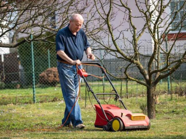 What is Verticutting?