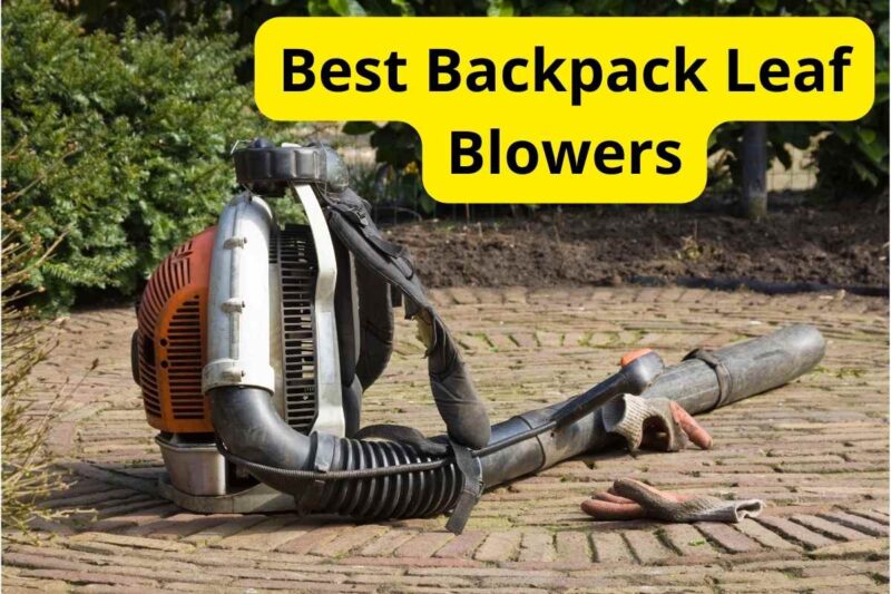8 Best Backpack Leaf Blowers of 2026 [Reviews]