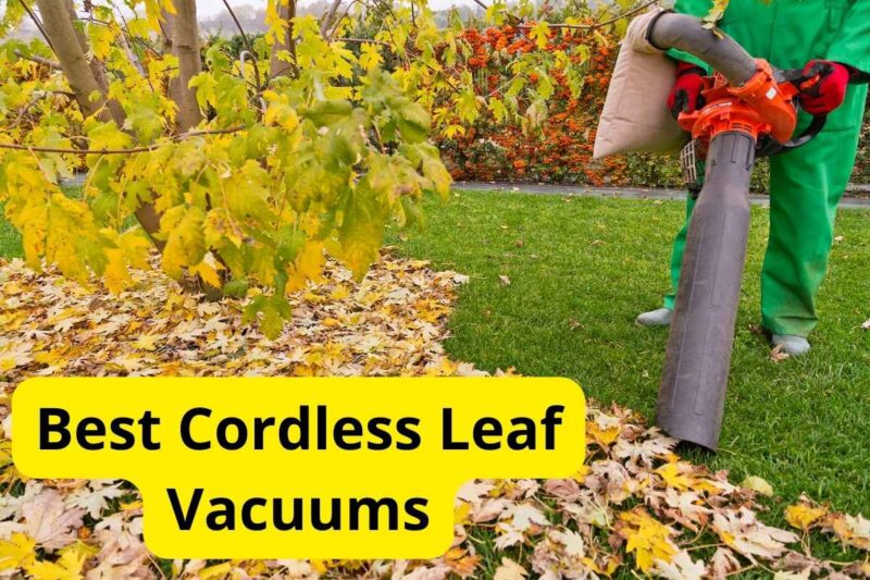 5 Best Cordless Leaf Vacuums of 2026 [Reviews]