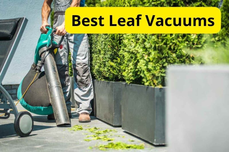 9 Best Leaf Vacuums of 2025 [Reviews]