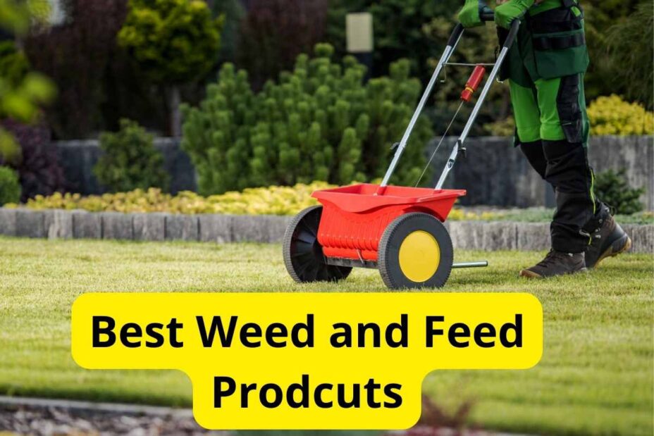 7 Best Fertilizers for Bermudagrass in 2025 [Reviews]