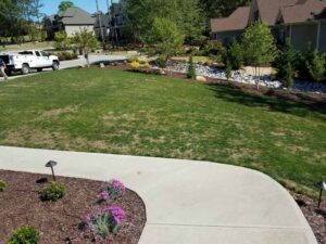 How to Identify, Control, and Prevent Ascochyta Leaf Blight on Turfgrass