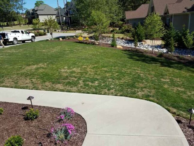 How to Identify, Control, and Prevent Ascochyta Leaf Blight on Turfgrass