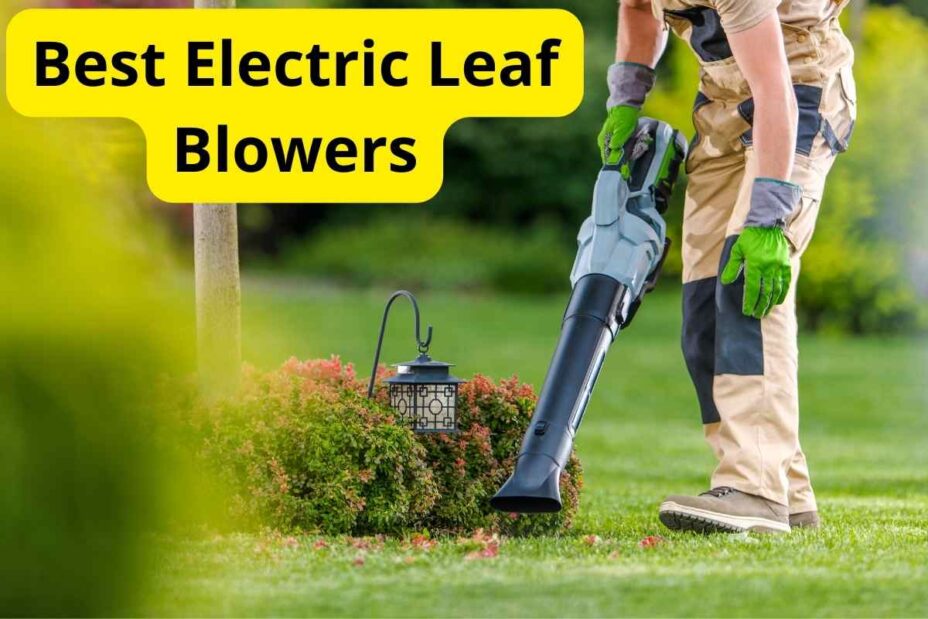 10 Best Electric Leaf Blowers of 2026 [Reviews]