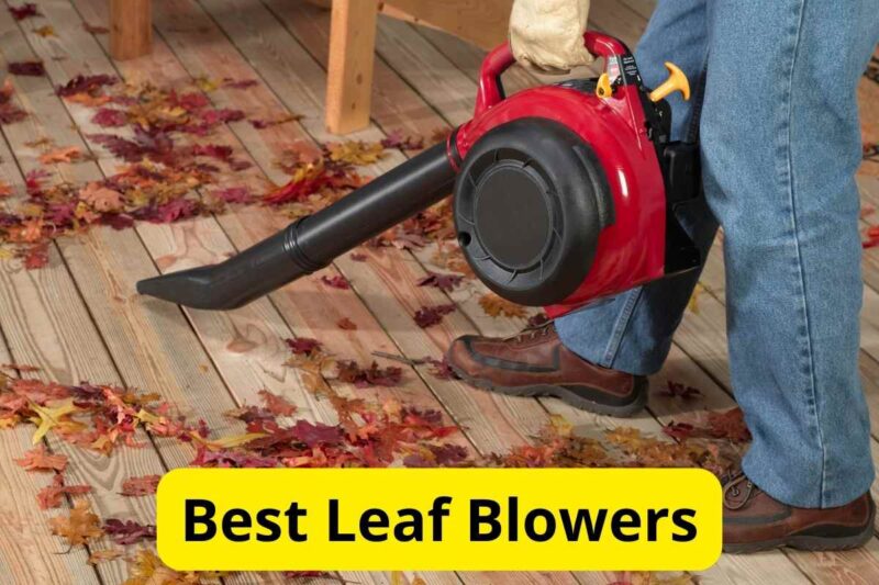 9 Best Leaf Blowers of 2026 [Reviews]