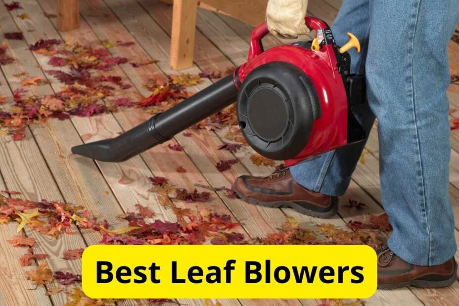 9 Best Leaf Blowers of 2026 [Reviews]