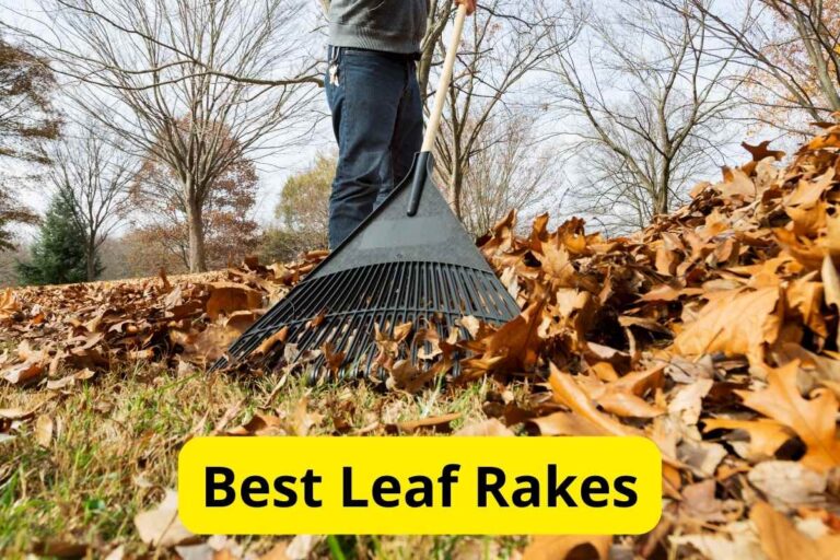 7 Best Leaf Rakes of 2025 [Reviews]